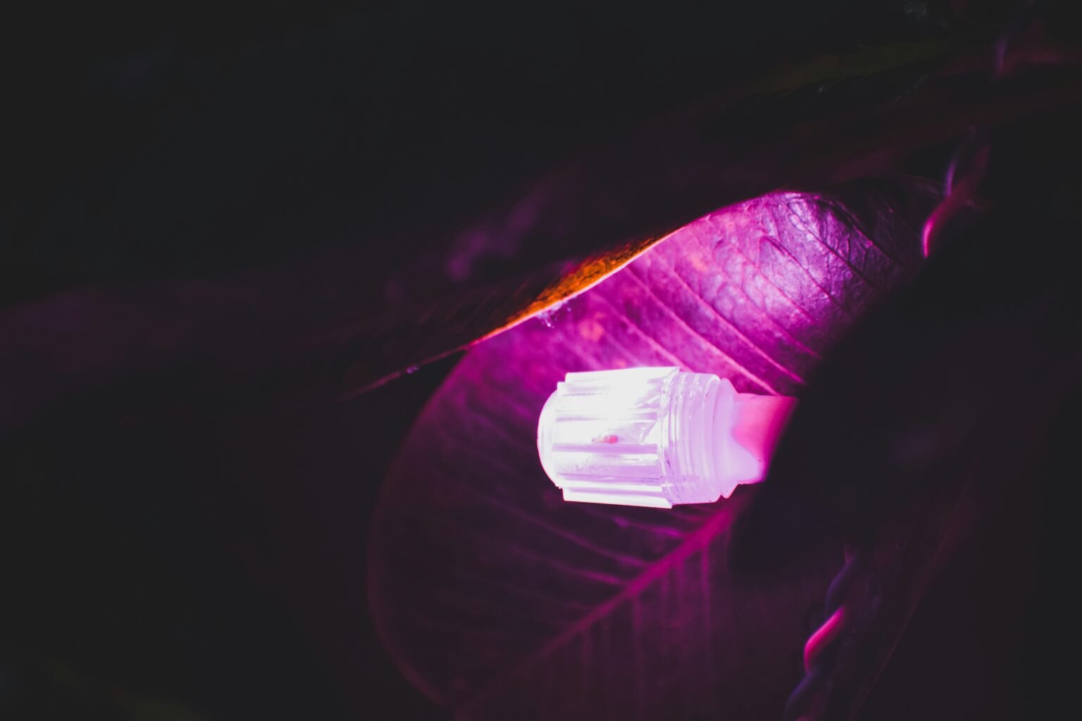 Why Yellow Light is Better Than White Light: The Benefits and Science ...